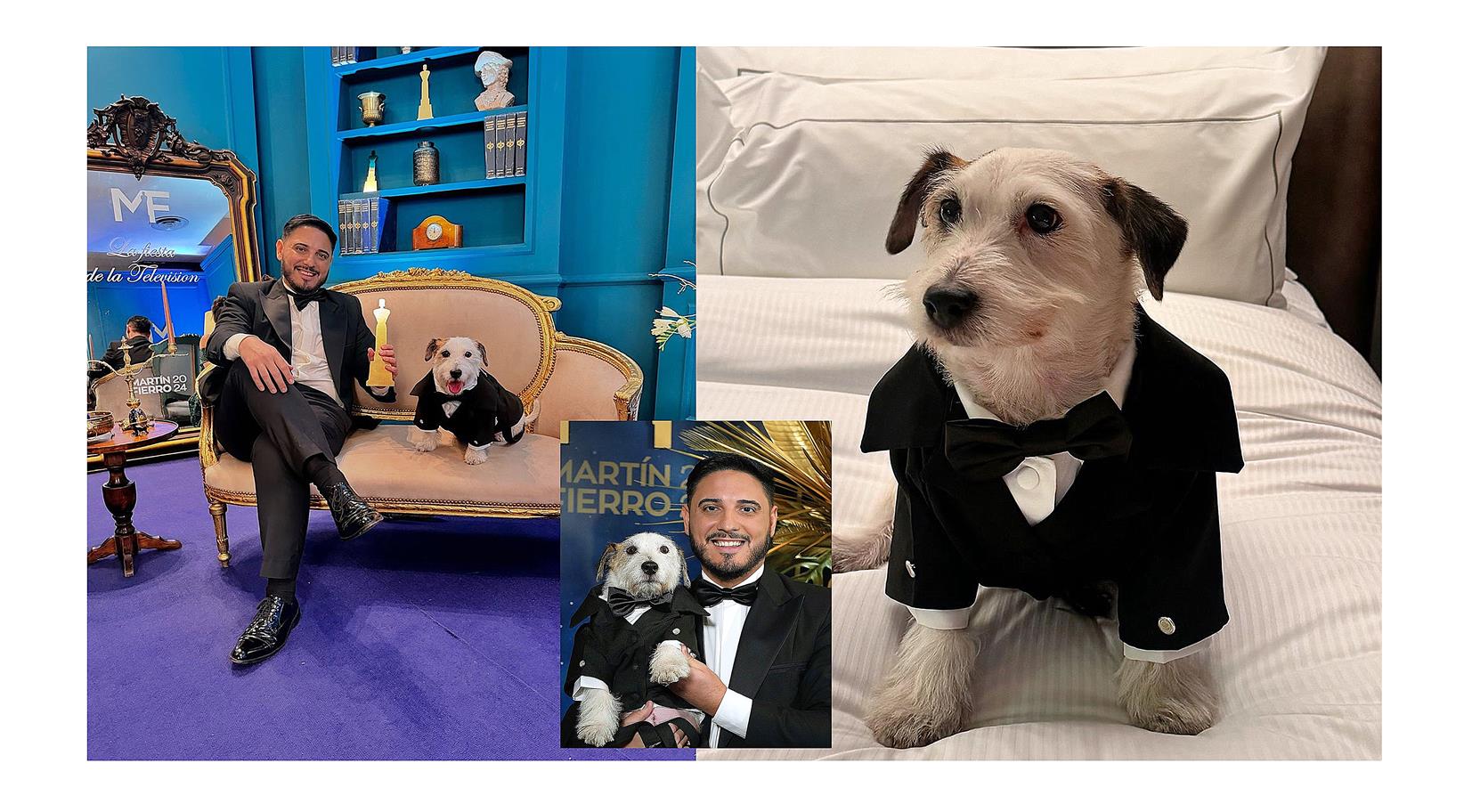 Un encantador perrito llamado Ramoncito se roba la atención en los ...