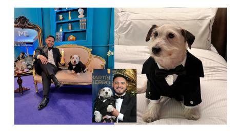 A Charming Puppy Named Ramoncito Steals the Show at the Argentine TV ...